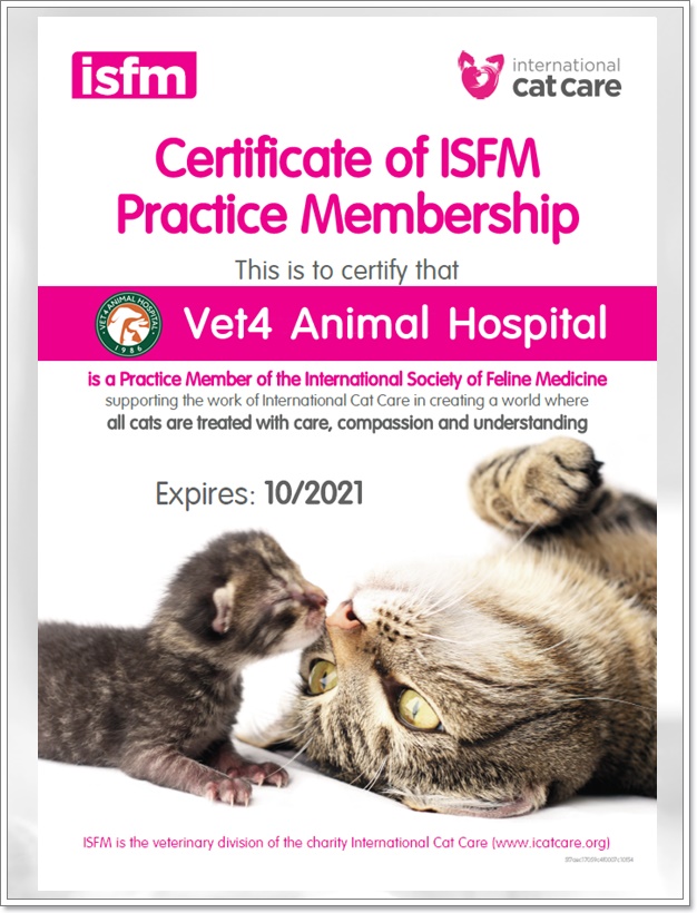 โรงพยาบาลสัตว์ สัตวแพทย์ 4 ได้รับการรับรองเป็น Cat Friendly Clinic ...